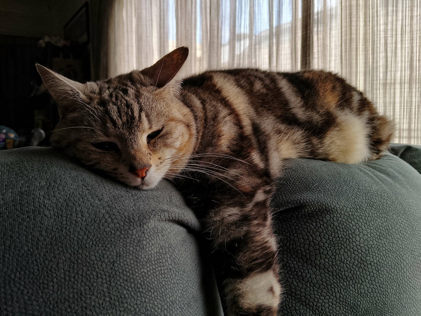 Telstra T-Elite 5G review: A ready-made reliable upgrade