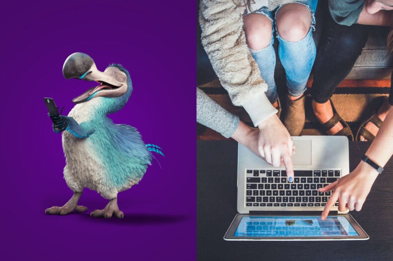 Rare 12-month discount on Dodo NBN is good value internet