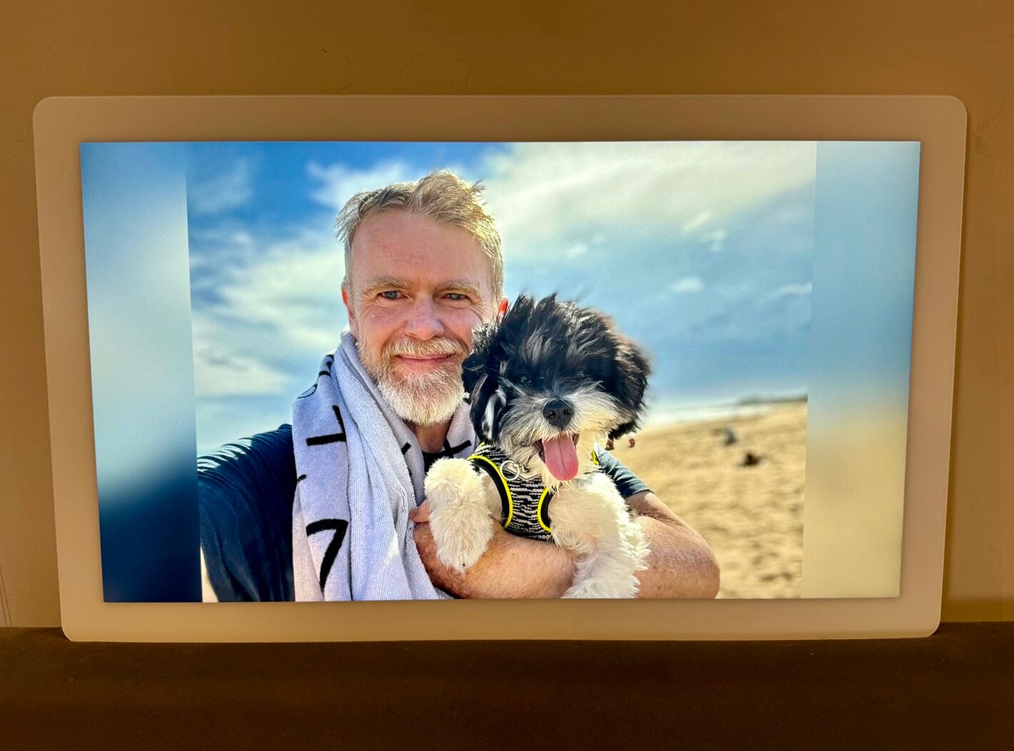 Skylight Calendar Max review: Look at the big picture